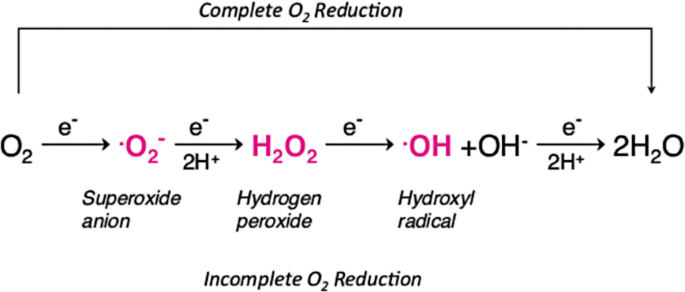Reactive Oxygen Species in Algae: Antidiabetic Benefits | SpringerLink
