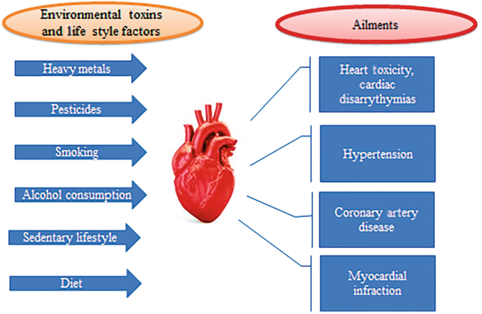 Contribution of Environmental Toxicants and Lifestyle in the ...