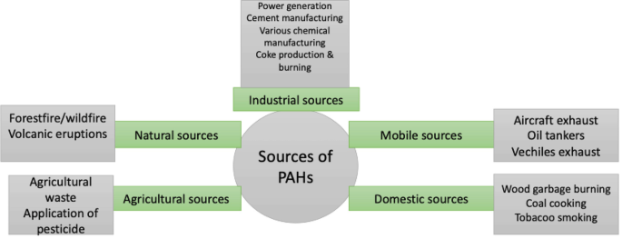 Occurrence, Fate, Effects, Risk Assessment, Biodegradation, and Bio ...