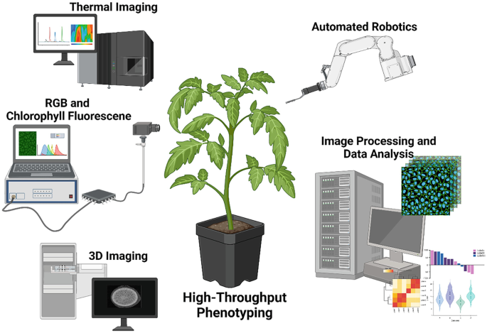 Phenomics and Next-Generation Phenotyping to Increase Genetic Gains in ...