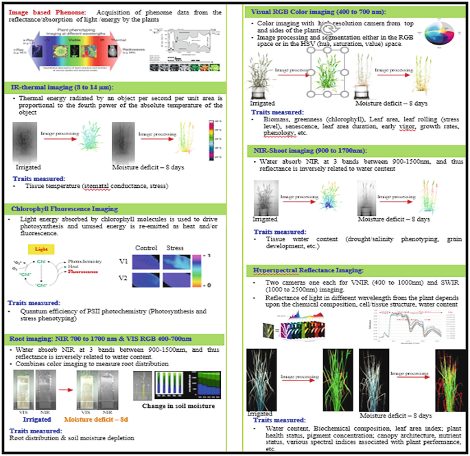 Phenomics and Next-Generation Phenotyping to Increase Genetic Gains in ...