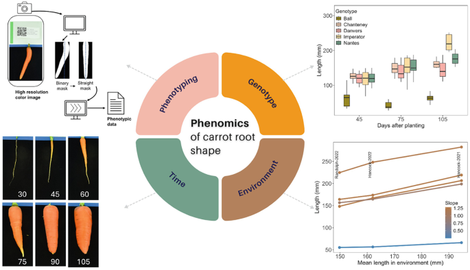 Phenomics to Improve Genebank Value and Utility | SpringerLink