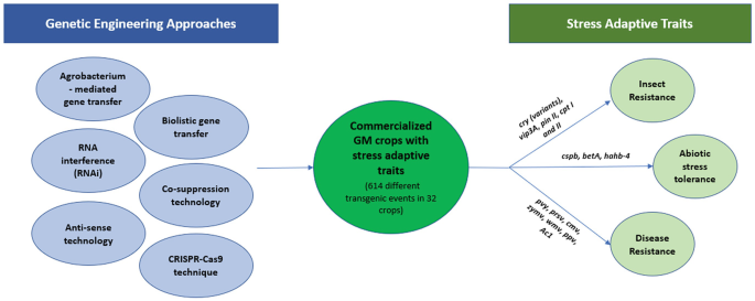 Genotype × Environment Interaction: Molecular Basis and Environmental ...