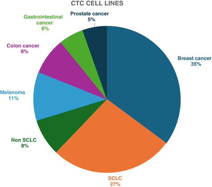 Current Knowledge of Circulating Tumor Cell Cultures | SpringerLink