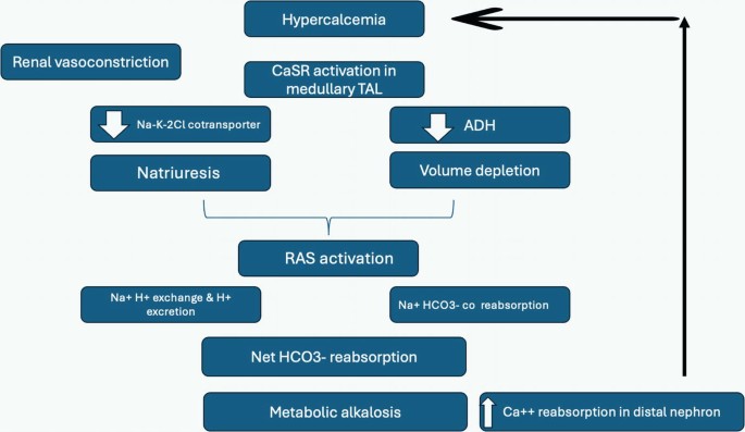 Polydipsia, Polyuria, and Pruritus—The Paan-Chewing Babu | Springer ...
