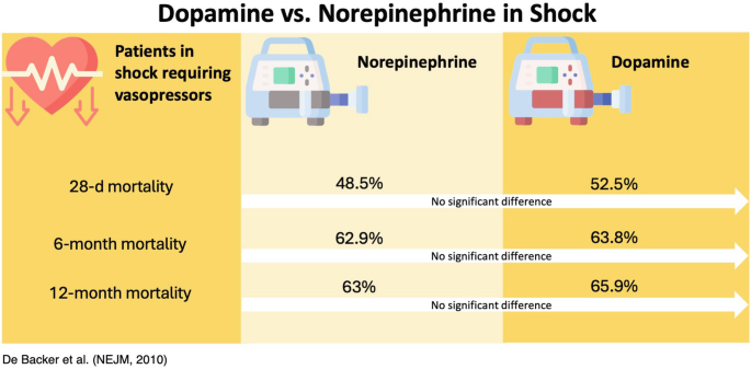 Dopamine Versus Norepinephrine in the Treatment of Shock: The SOAP II ...