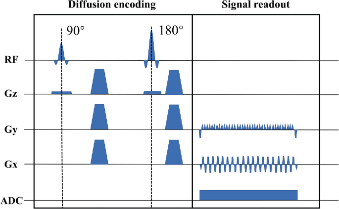 Basics of Diffusion MRI Sequence | SpringerLink