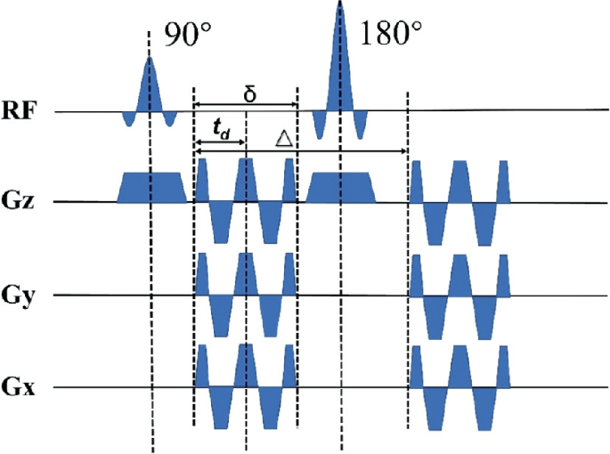 Basics of Diffusion MRI Sequence | SpringerLink