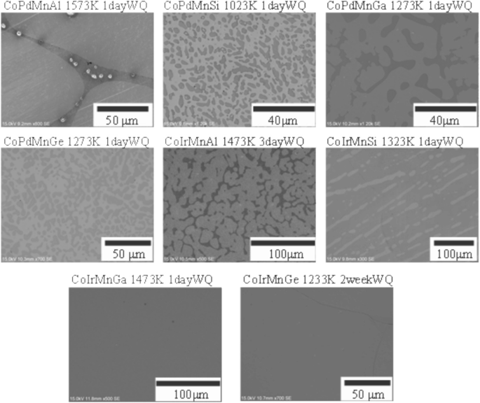 Phase State and Magnetic Properties of Co-based Quaternary Heusler ...