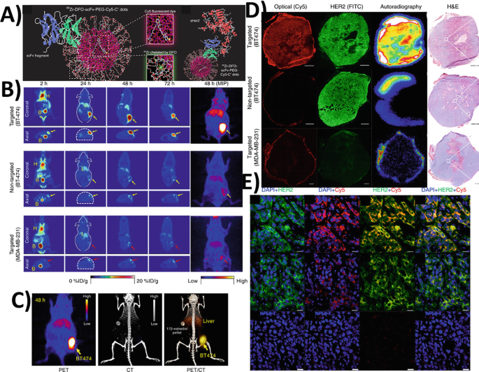 Cancer Imaging and Scope of Early-Stage Diagnosis: Molecular Imaging ...