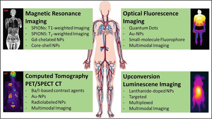 Biosafety and Reality of Nanoimaging and Therapeutics | SpringerLink