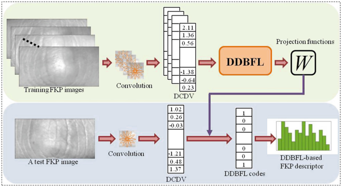 Finger Knuckle Print Image Processing and Recognition | Springer Nature ...