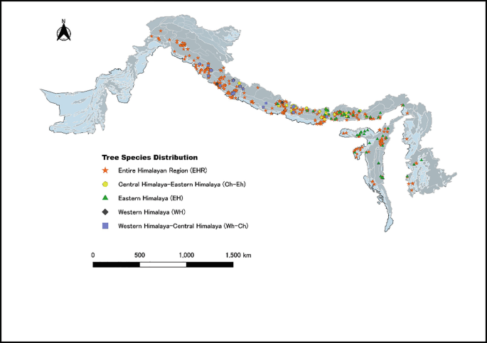 Tree Seed Ecology in the Himalayan Forest Ecosystem: How Much Do We ...
