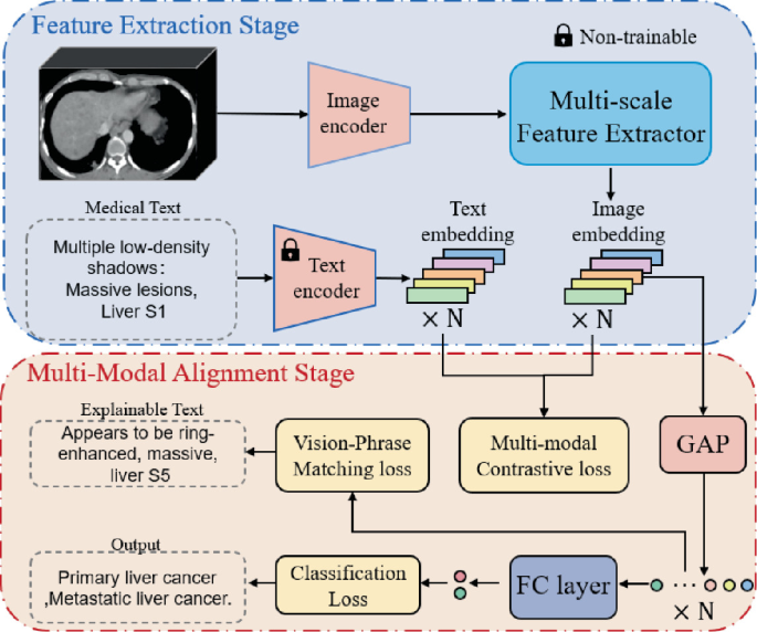 Integrating Multi-modal Contrastive Learning and Multi-scale Feature ...