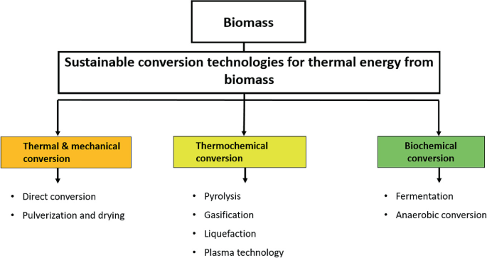 Sustainable Technologies for Biomass Conversion: Last Trends | Springer ...