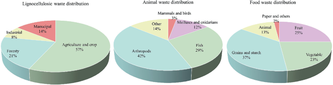 Chemical Conversion Pathways for Enhanced Value of Biomass Waste ...