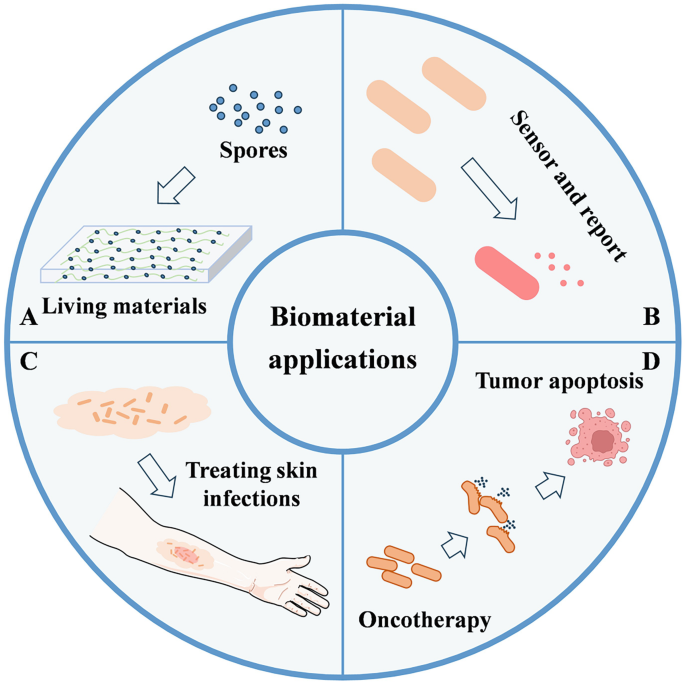 Engineered Living Materials | SpringerLink