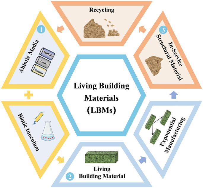 Engineered Living Materials | Springer Nature Link