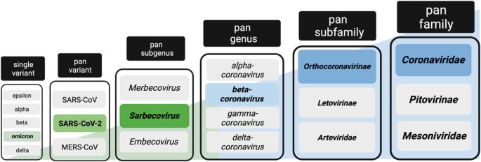 Epidemiology and Impact of the COVID-19 Pandemic | SpringerLink