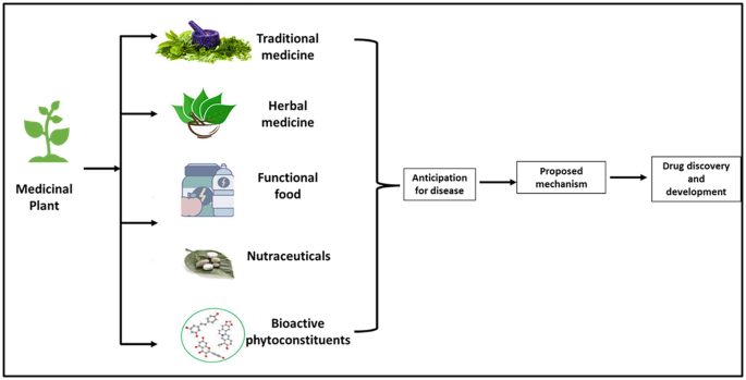 Medicinal Plants and Sustainable Human Health | Springer Nature Link