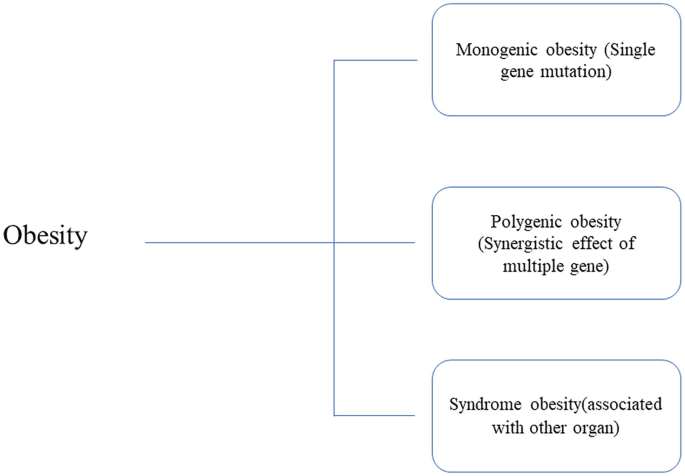 Impact of Nutrigenomics on Human Nutrition | Springer Nature Link ...