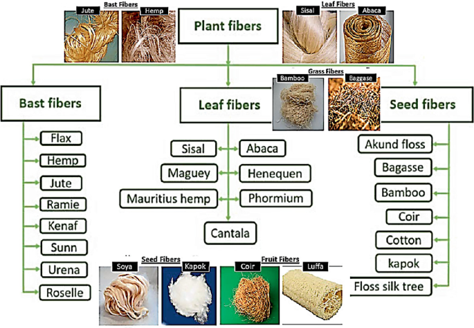 Bio-based Fibers and Fibrous Wastes | Springer Nature Link