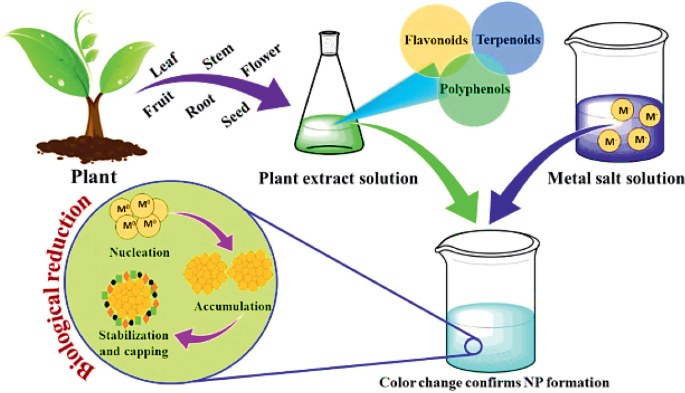Green and Sustainable Synthesis of Nanoparticles for Functionalization ...