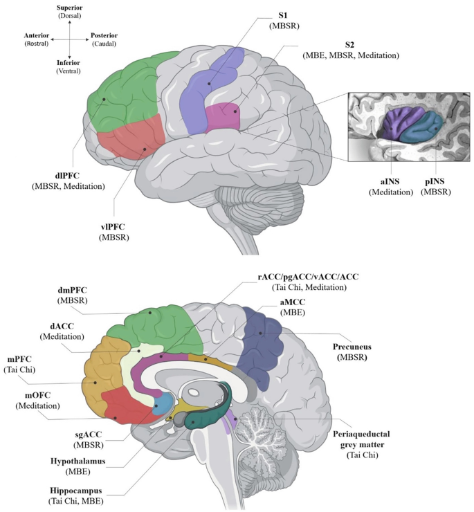 Introduction: The Mind-Body Connection | Springer Nature Link