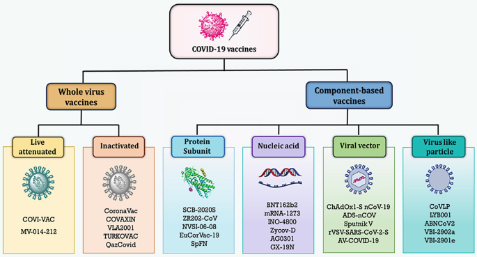 COVID-19 Vaccine: Classification, Development, and Clinical Status ...