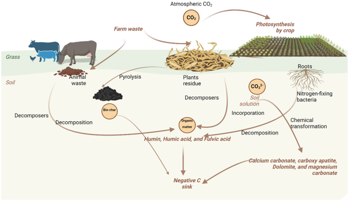 Farm Waste Management and Recycling for Negative Carbon Sink in ...