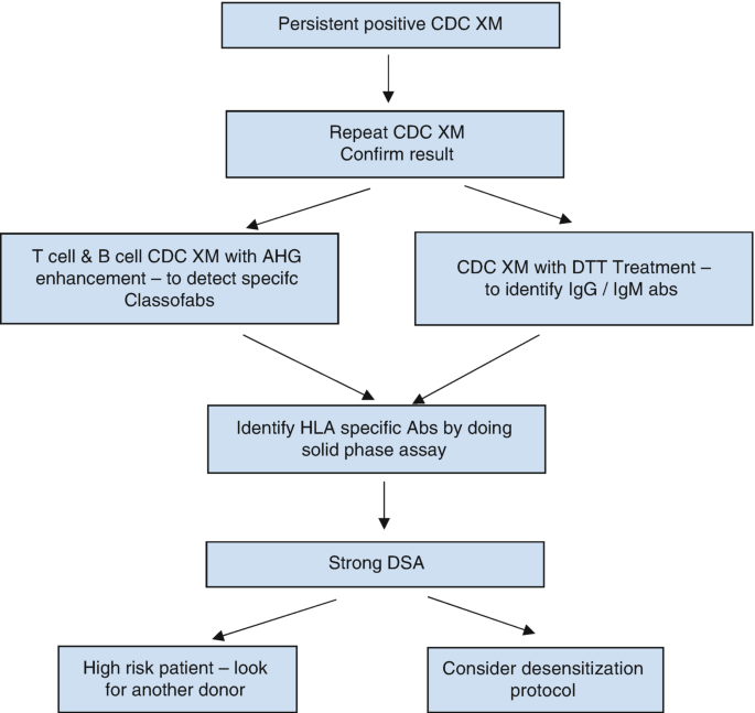 A Persistent CDC Positive Cross-Match in a Patient Awaiting Transplant ...