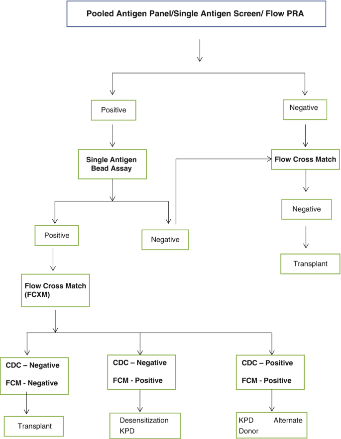 Approach to an Unsensitized Patient Awaiting First Renal Transplant ...