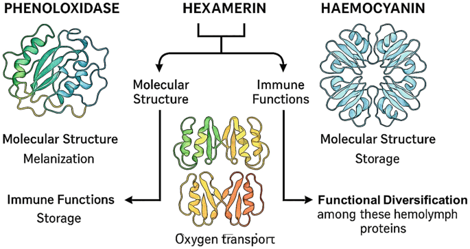 Surveillance and Monitoring of Humoral Immune Responses | SpringerLink