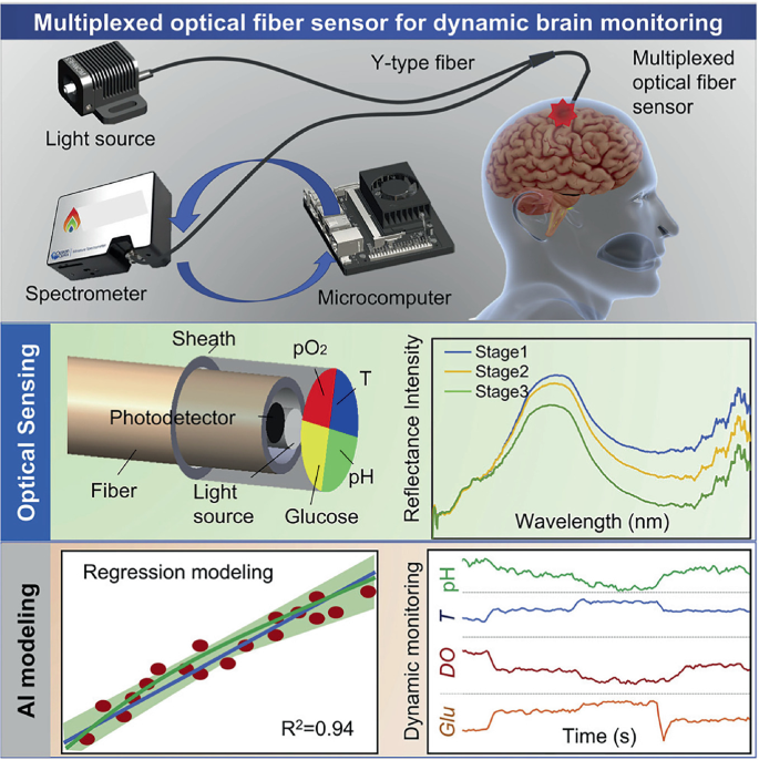 AI in Optical Fiber Sensors and Sensing Network | SpringerLink