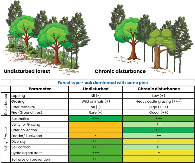 Sustaining Humans: Himalayan Forests and Ecosystem Services | Springer ...
