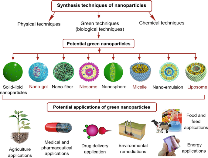 Green Carbon-Based Nanostructured Photocatalysts | Springer Nature Link