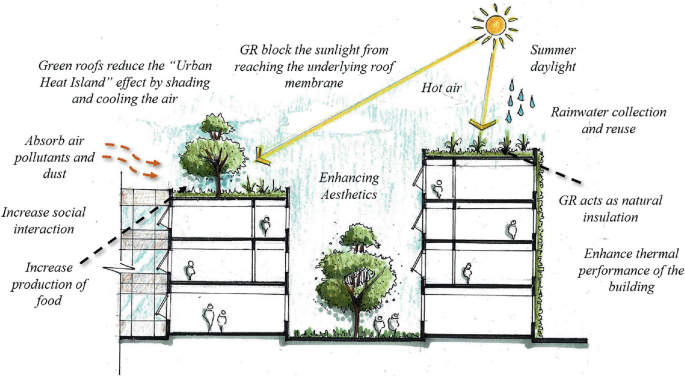The Impact of Green Roofs on Buildings’ Thermal Performance in the Hot ...