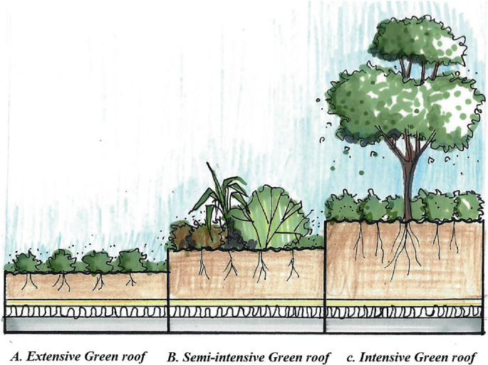 The Impact of Green Roofs on Buildings’ Thermal Performance in the Hot ...