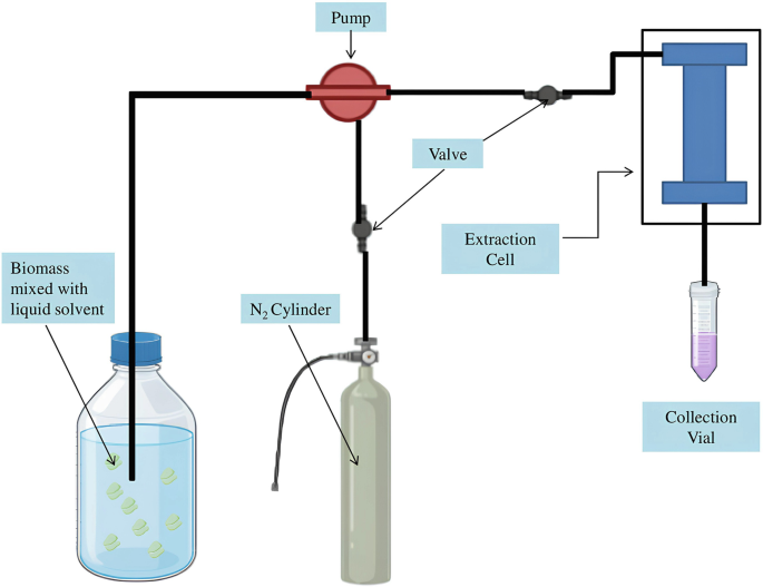 The Science of Biocolour: An Overview | Springer Nature Link