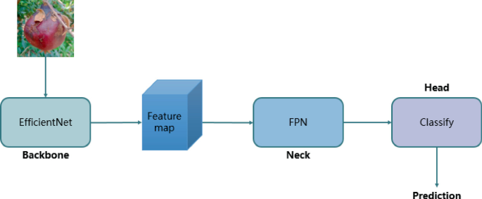 Fruit Diseases Classification Based on Deep Learning with Feature ...