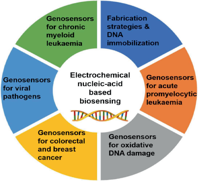 Nucleic Acid-Based Nanobiosensors for Geno-electrochemical Cancer Detection: A Summary of ...