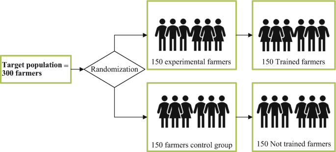 Fundamentals of Experimentation | Springer Nature Link (formerly ...