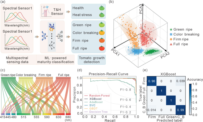 A Flexible Fruit Wearable System for Real-Time and Long-Term Tomato ...