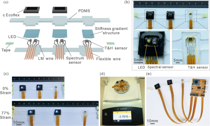 A Flexible Fruit Wearable System for Real-Time and Long-Term Tomato ...