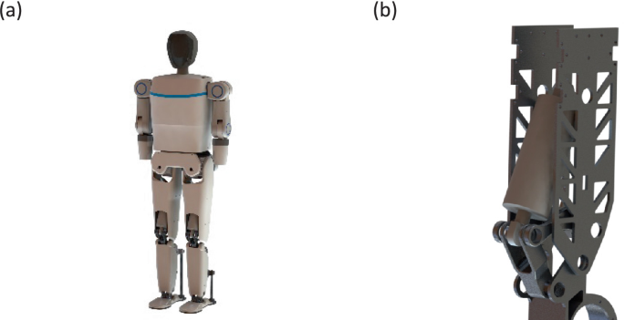 Humanoid Locomotion with Roller Screw-Driven Knee Joints: Design ...