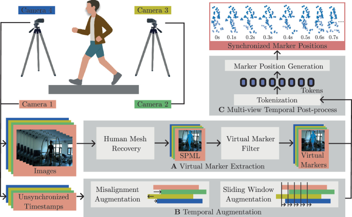 A Marker-Free Motion Capture System Built on Unsynchronized Cameras ...