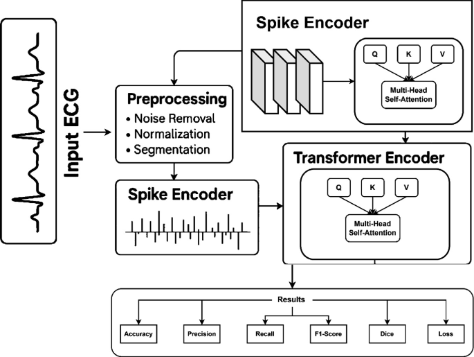 SkipCNN-Based ECG Transformer Spike Model for Accurate Cardiac Arrhythmia Detection | SpringerLink