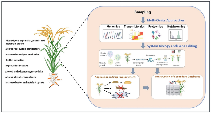 Multi-omics Approaches for Deciphering Plant-Microbe Dynamics in ...