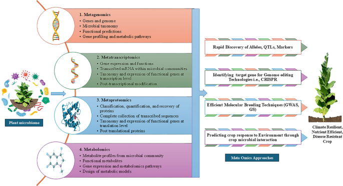 Meta-omics in Tobacco: Spearheading for Trait Tailoring | Springer ...