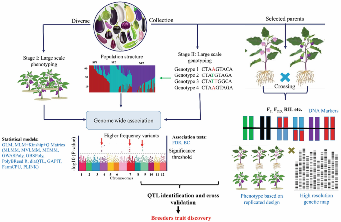 A Compendium of Advances on GWAS and QTL Atlas for Accelerating Trait ...
